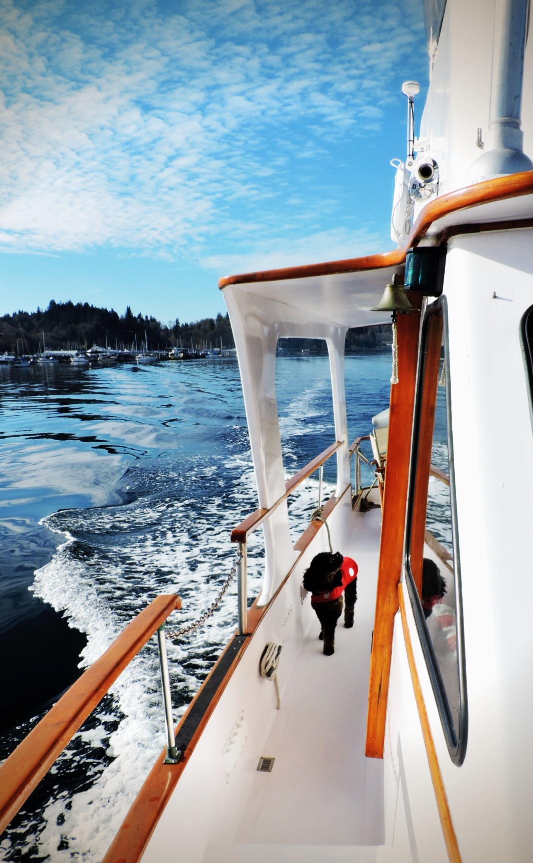 S + M - Puget Sound Cruise in John & Candie's Yacht